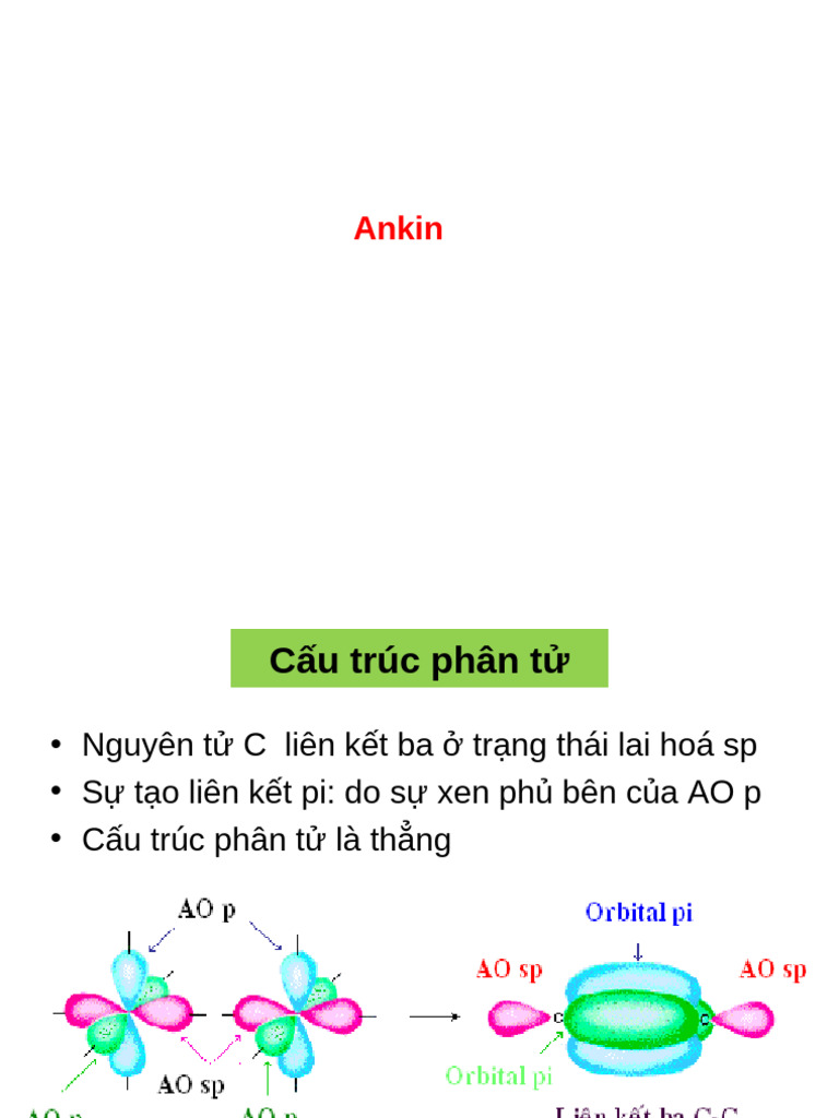 ANKIN | PDF