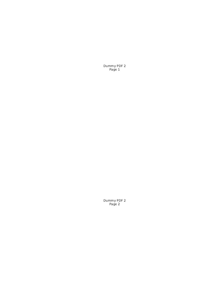 Dummy PDF 2 | PDF