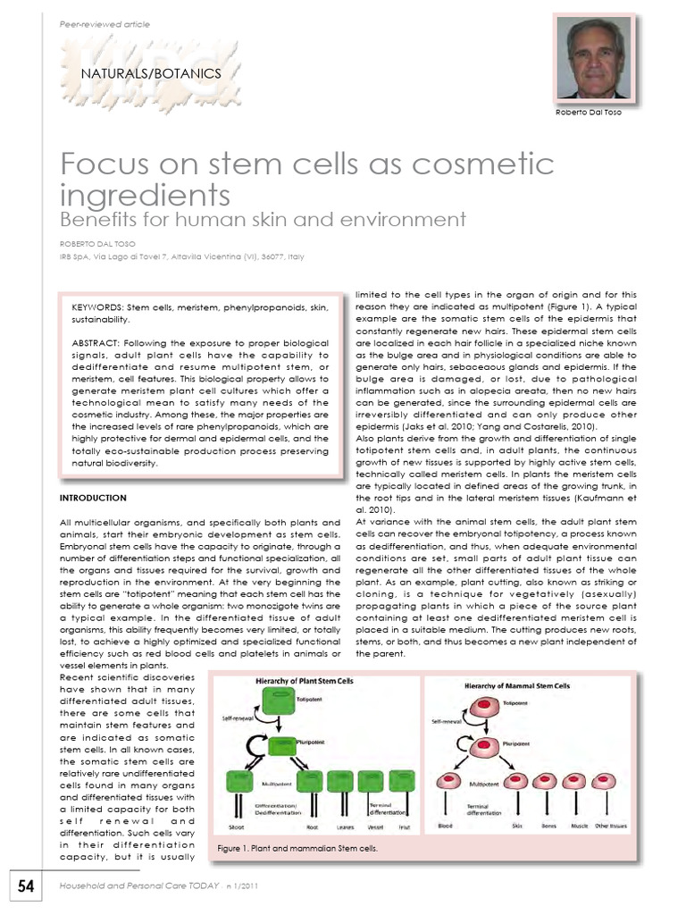 Plant Stem Cells HPC1 2011 | PDF | Cellular Differentiation | Plant Hormone