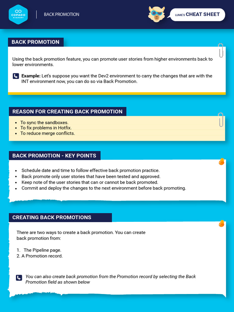 Back Promotion Cheat Sheet | PDF
