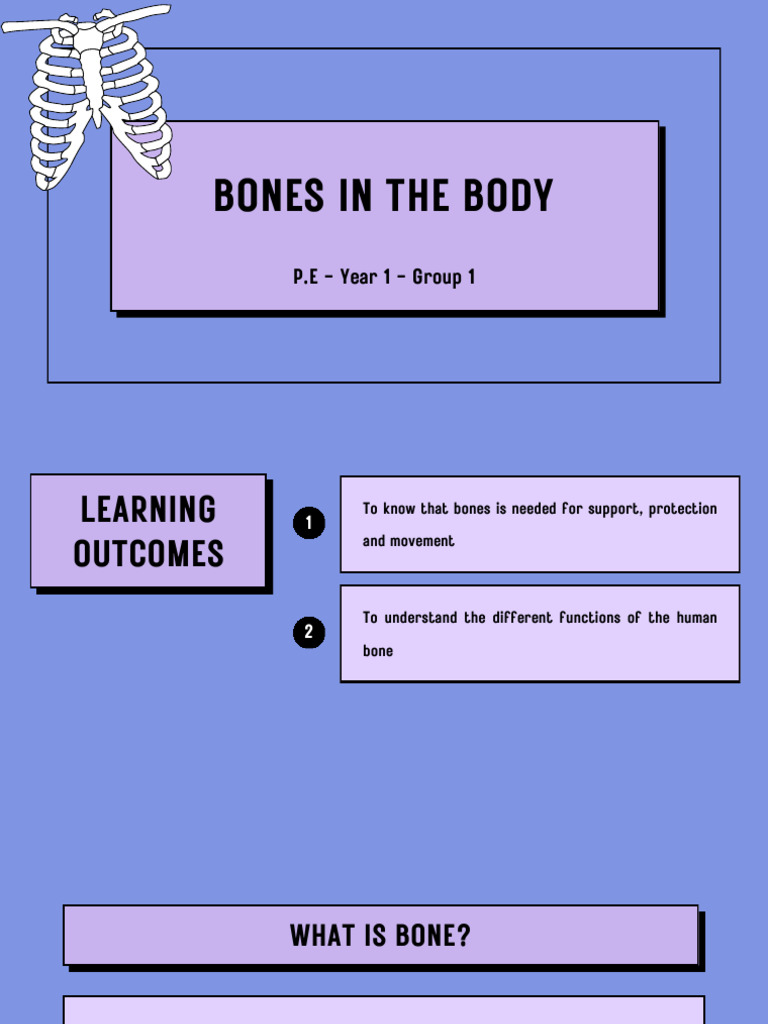 Functions and Types of Human Bones | PDF | Bone | Skeletal System