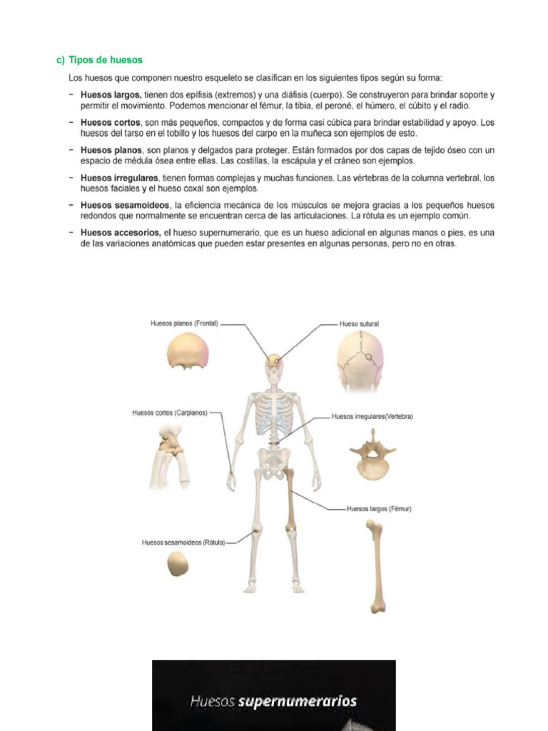 Grupo 10 Bio Geo | PDF