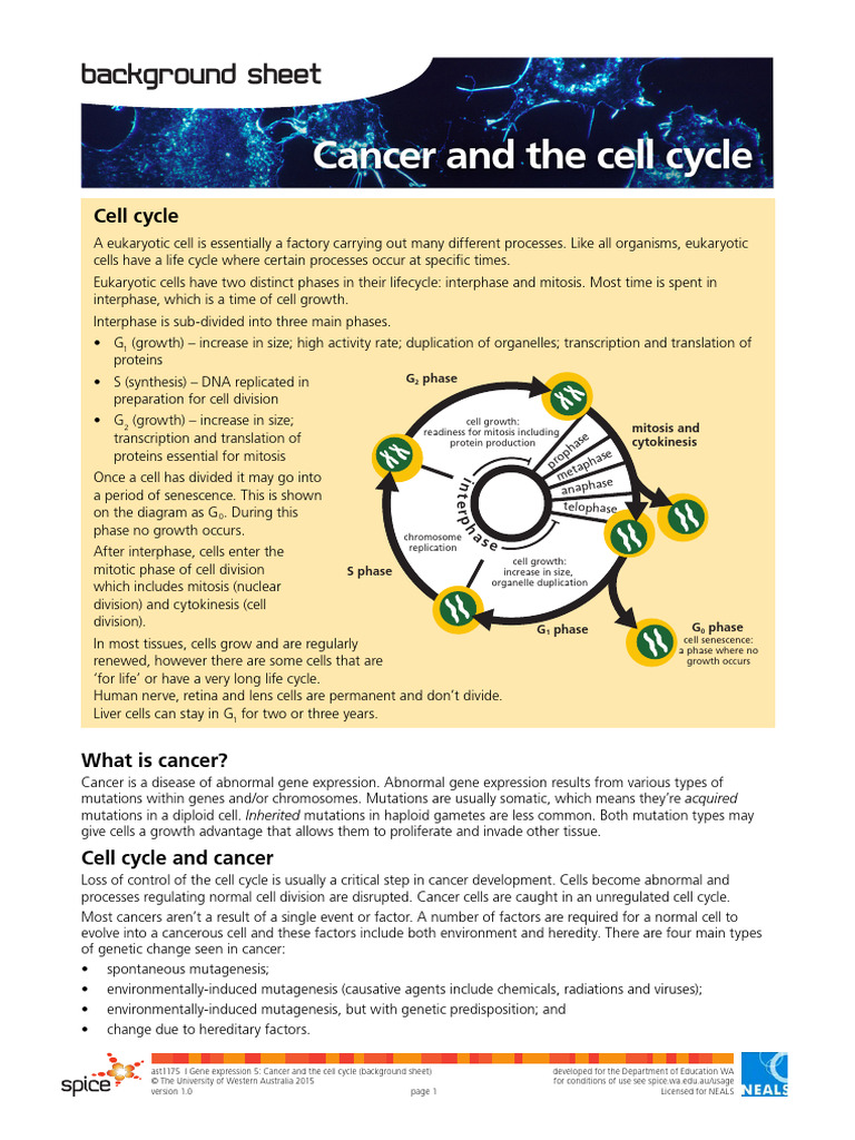 Cancer and The Cell Cycle | PDF | Cell Signaling | Mitosis