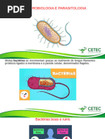 Tabela de Bacterioses e Causadores | PDF | Salmonella | Bactérias
