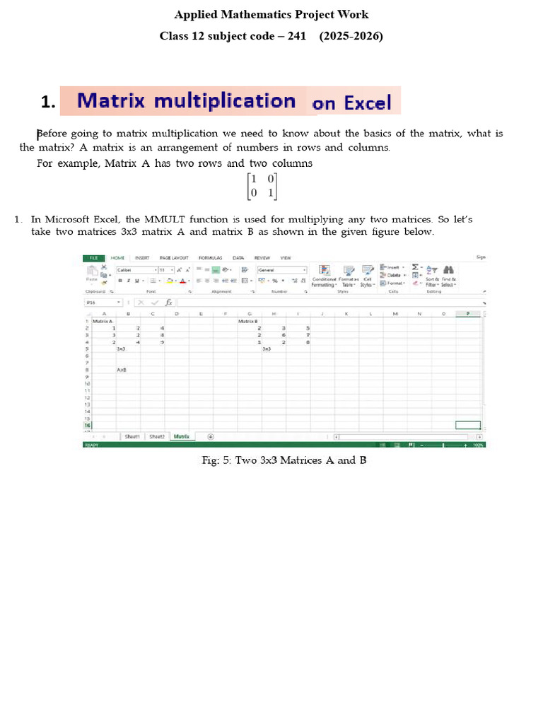 Applied Mathematics Project Work | PDF