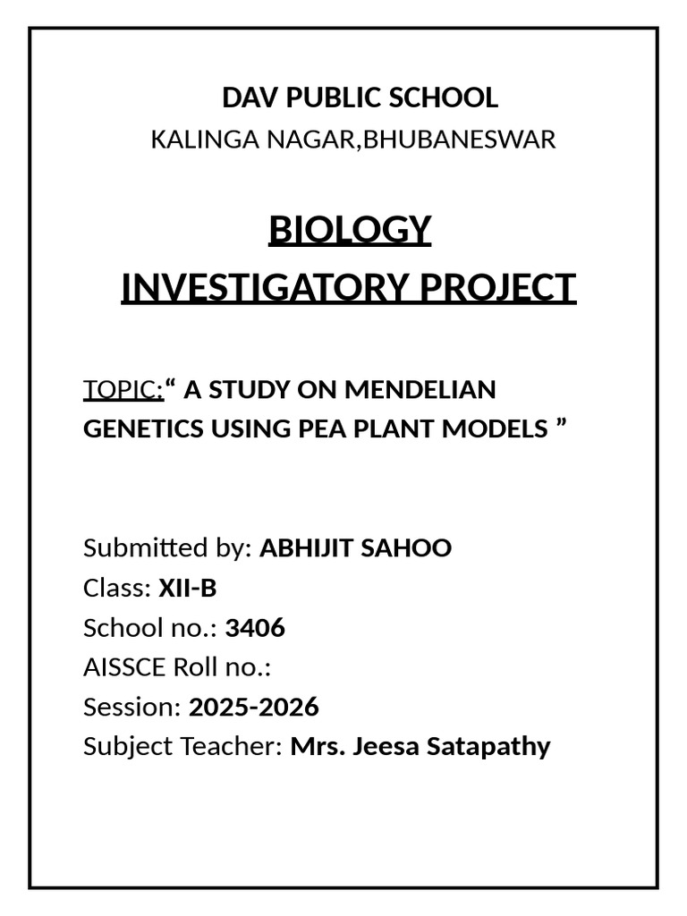 Dav Public School 2 | PDF