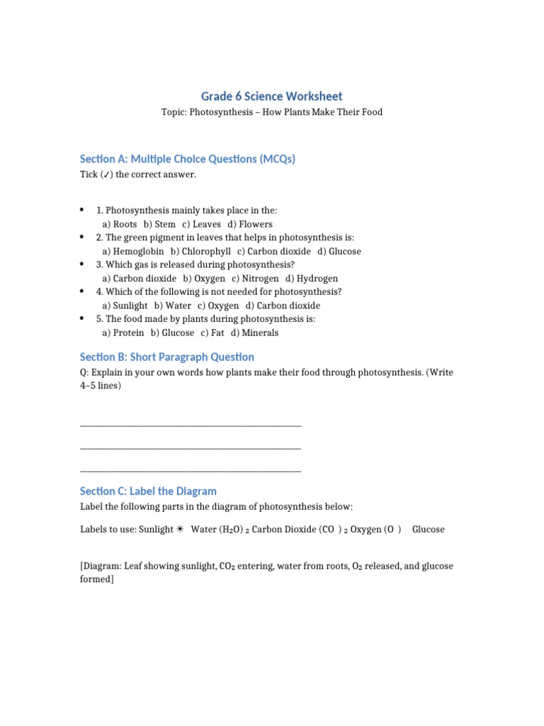 Grade 6 Photosynthesis Worksheet | PDF