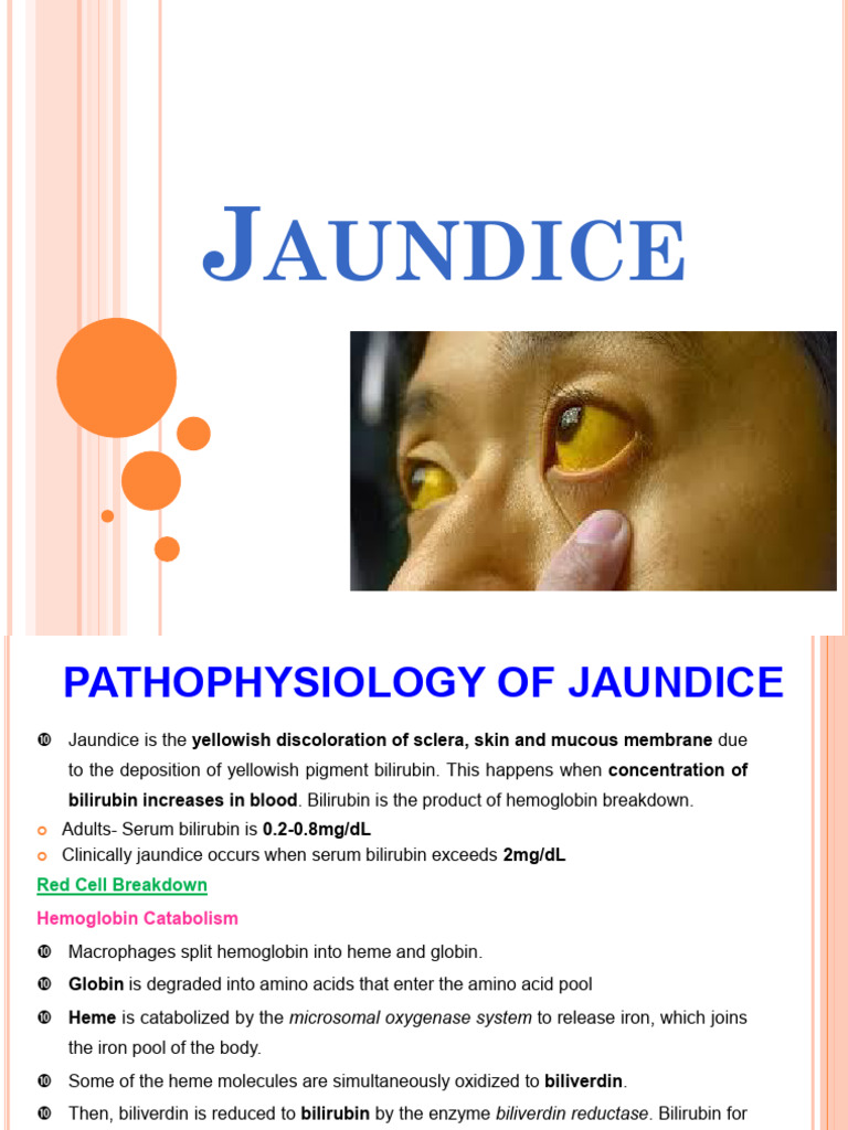 Jaundice | PDF | Liver | Bile