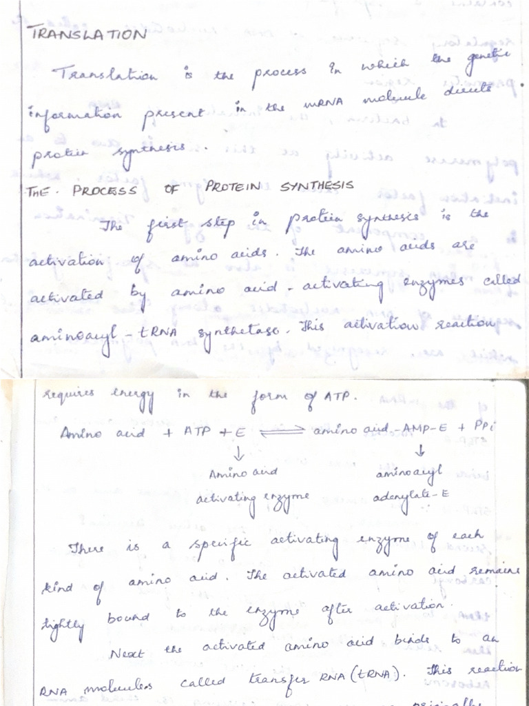 Translation | PDF