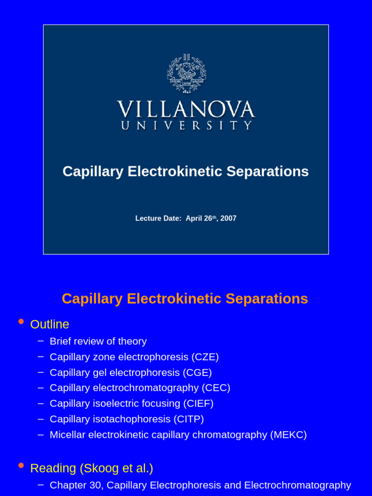 Capillary Electrophoresis Techniques Overview | PDF | Electrophoresis ...