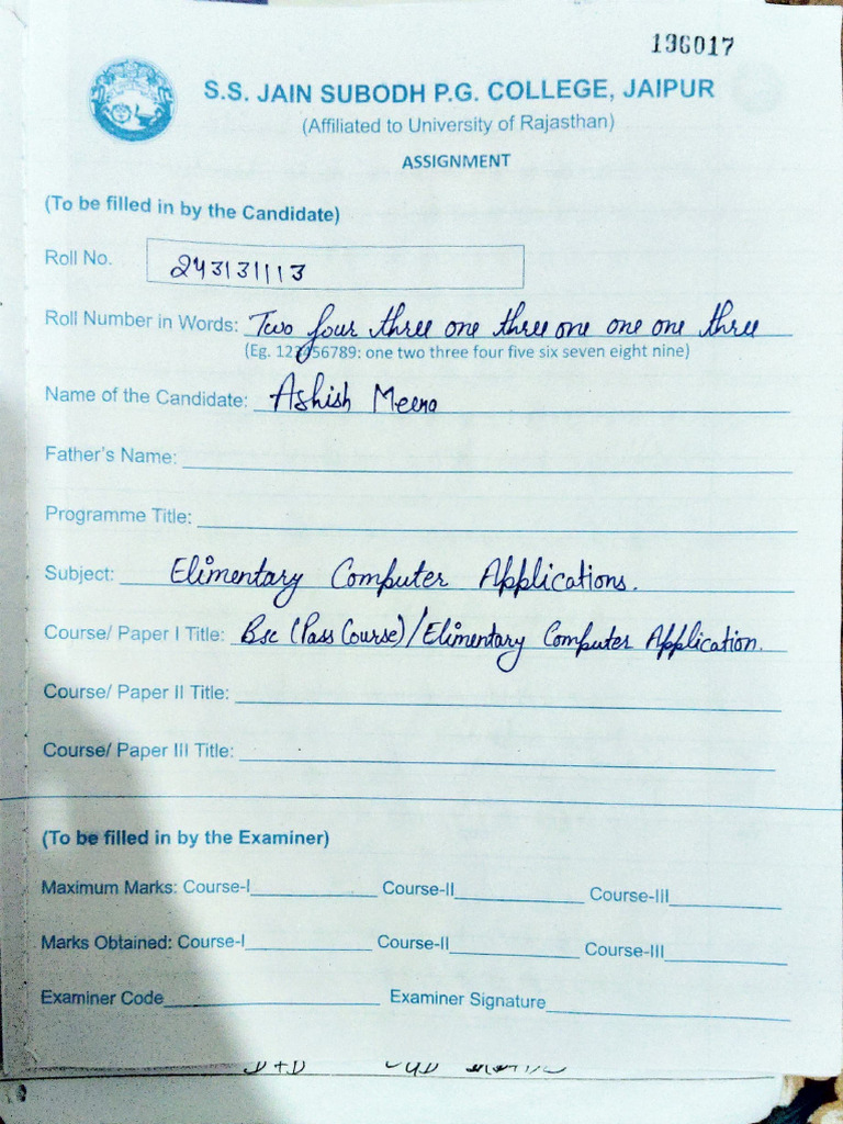 Elementary Computer Application Assignment | PDF