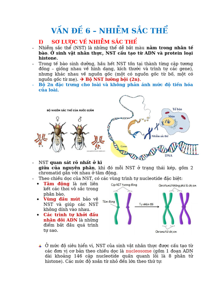 VẤN ĐỀ 6 - NST Đột Biến Cấu Trúc NST | PDF