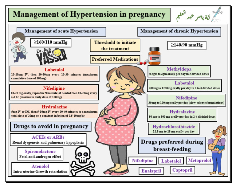 Hypertension in Pregnancy | PDF | Drugs | Clinical Medicine