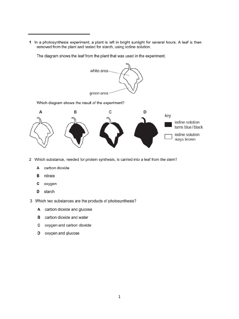 Worksheet On Nutrition in Plants | PDF