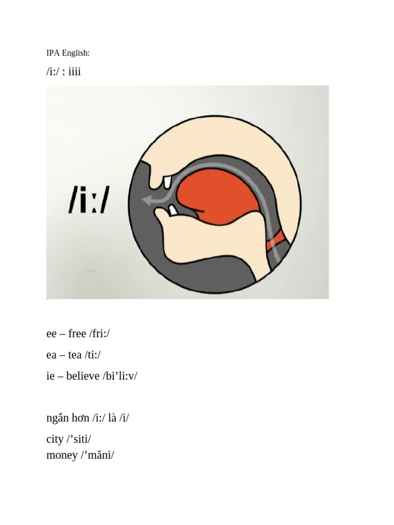 IPA English | PDF