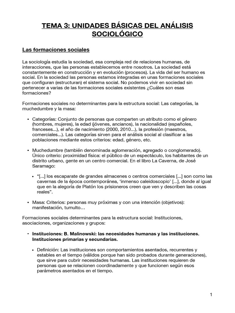 Tema 3. Unidades Basicas Del Analisis Sociologico | PDF | Institución | Liderazgo