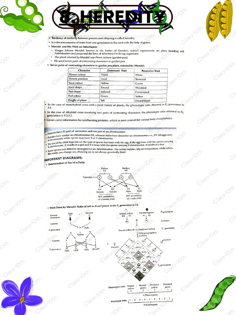 Heredity - Key Points and Concept | PDF