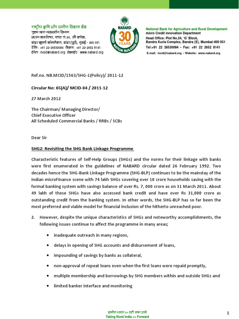 SHG Nabard | PDF