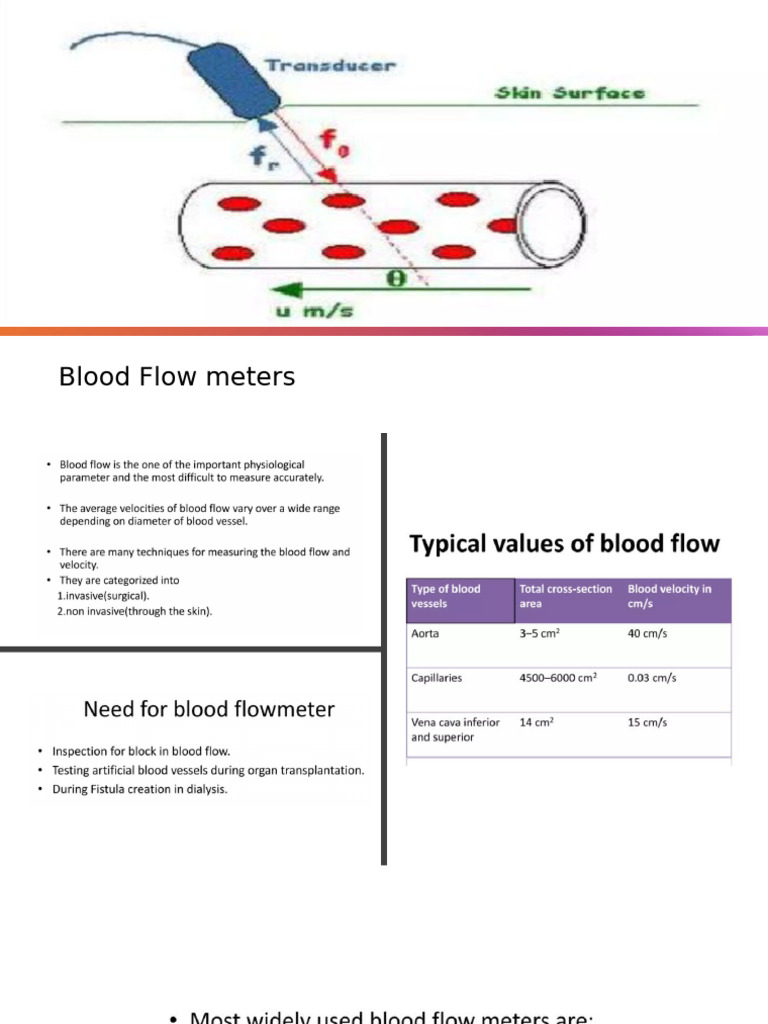 Blood Flow meters (1) | PDF