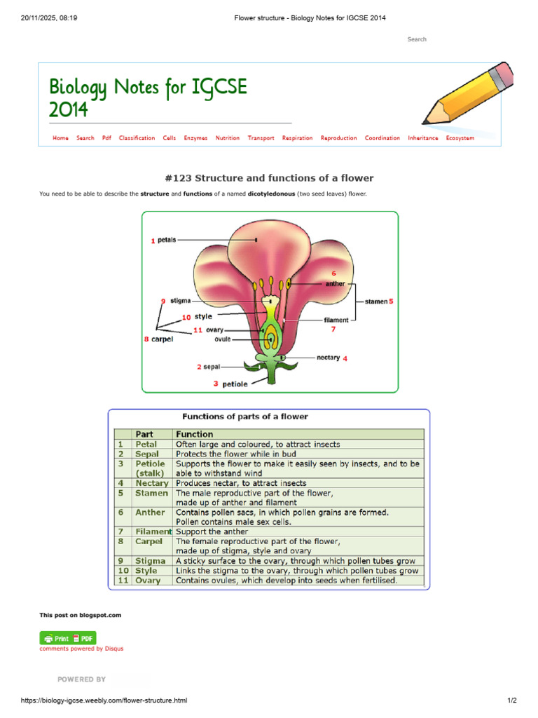 Flower Structure - Biology Notes for IGCSE 2014 | PDF