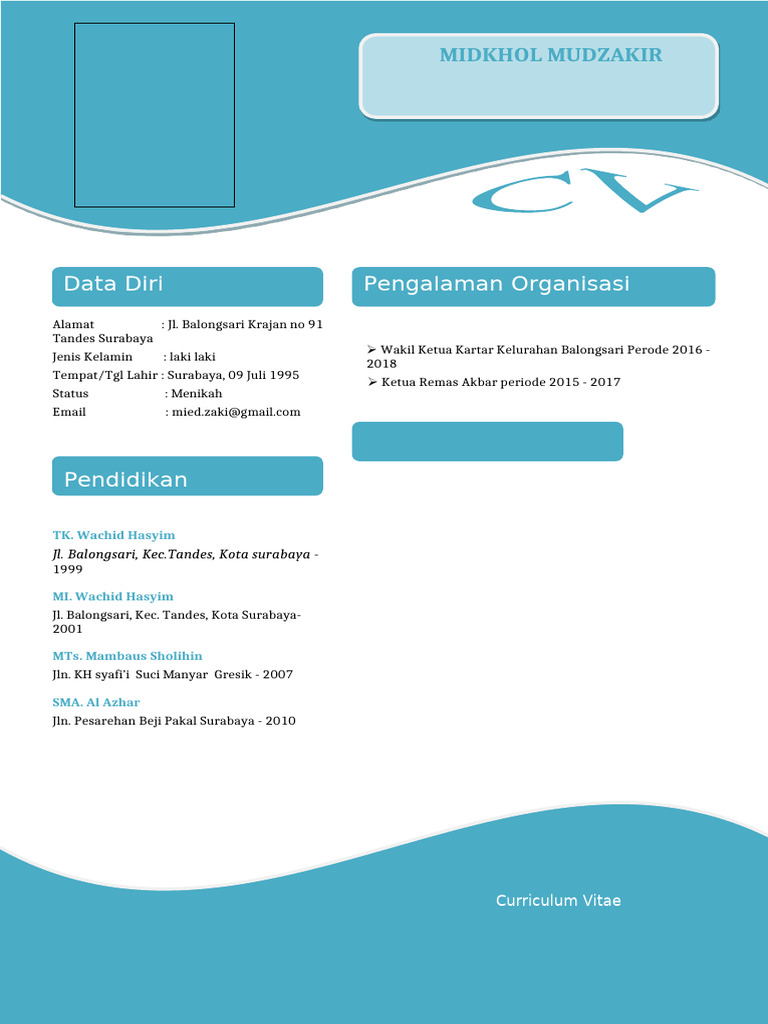 cv new | PDF
