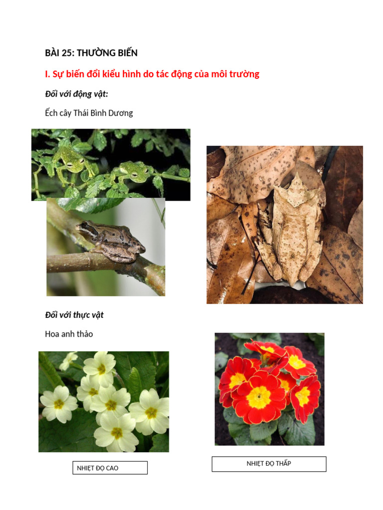 BÀI 25 - SINH 9 | PDF