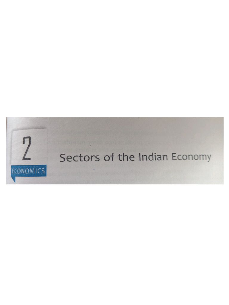 Economics Notes Class 10 | PDF