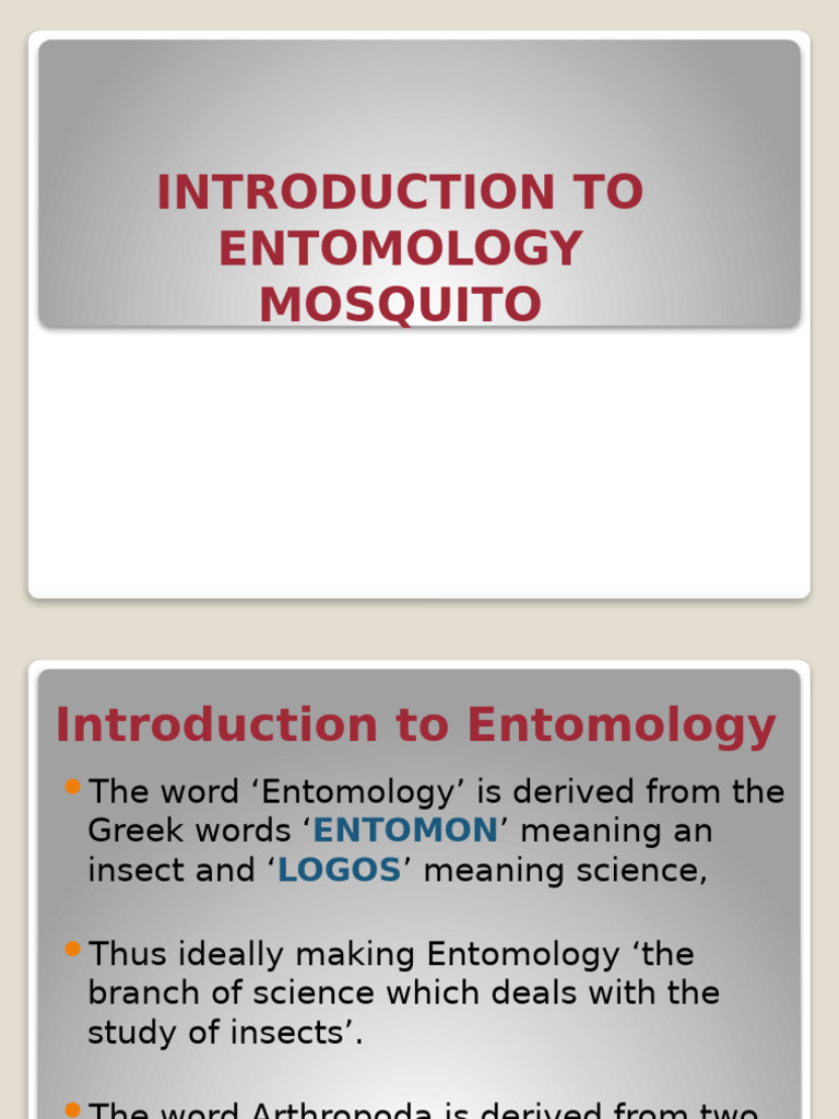 Introduction To Entomology& Mosquito | PDF | Mosquito | Insects And Humans