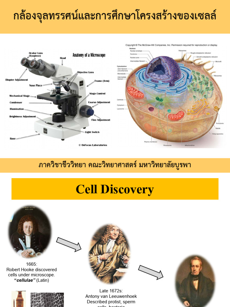AP - General Biology ครั้งที่ 2 - Microscopy and Cell | PDF
