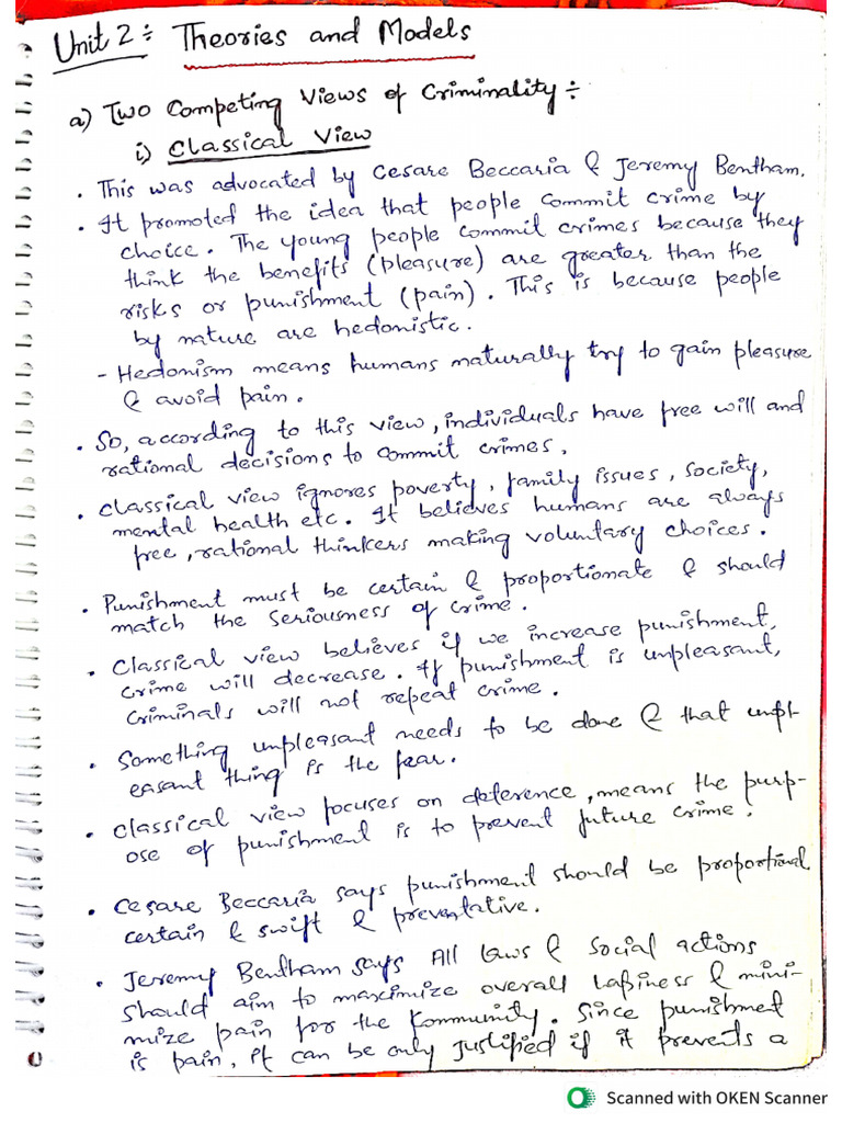 Unit 2: Juvenile Justice System | PDF