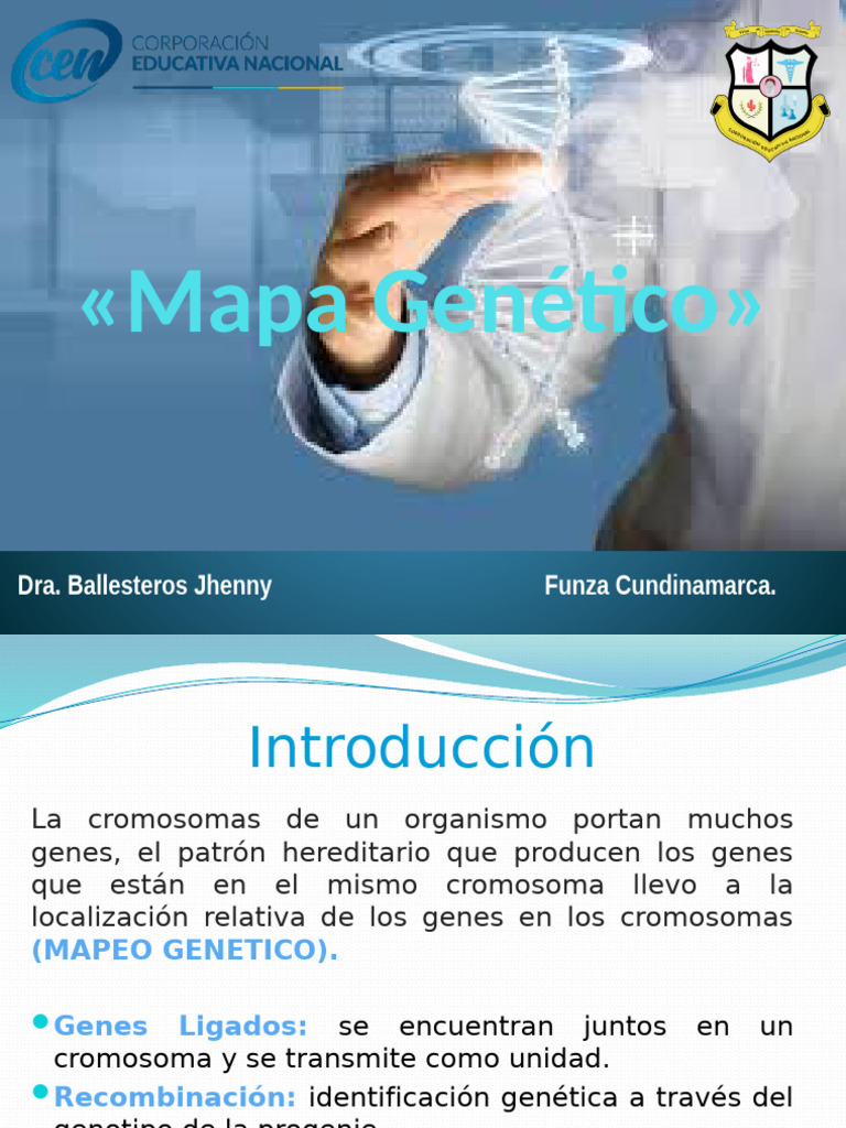 Mapa Genético: Herramienta de Prevención | PDF | Enlace Genético ...