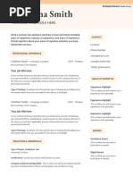 Big 4 CV Template Guide | PDF