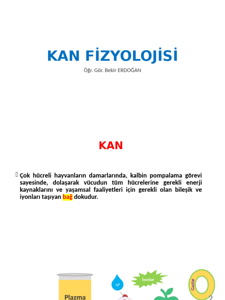 Ders-5-Kan Fizyolojisi | PDF