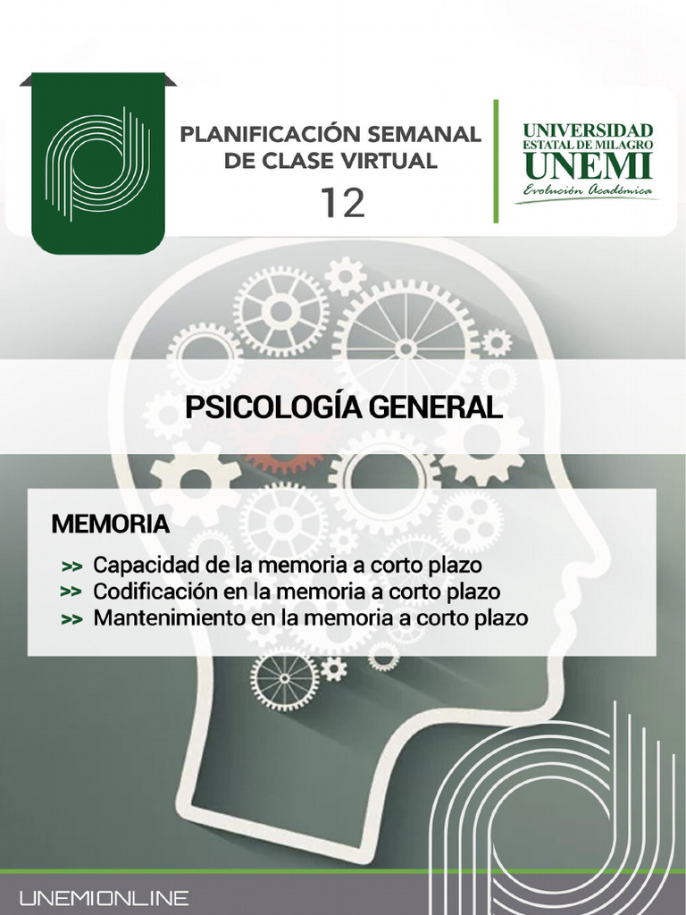 Psi - Unidad 4 - Tema 12-13 y 14 | PDF | Memoria | Memoria a largo plazo