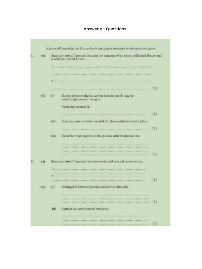 Science Form 1 End of Year Exam | PDF