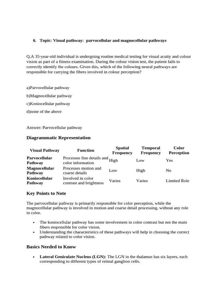 Opthalmology - Visual Pathway - New Version 2 | PDF | Visual System ...