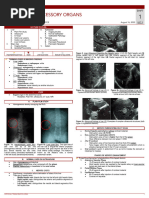 Abdominal CT Imaging Protocols Guide | PDF | Ct Scan | Abdomen