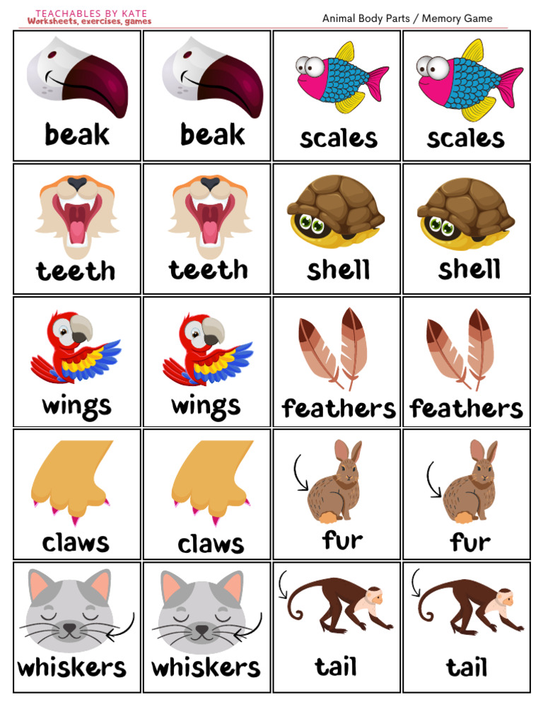 Animal Body Parts Worksheets & Games | PDF