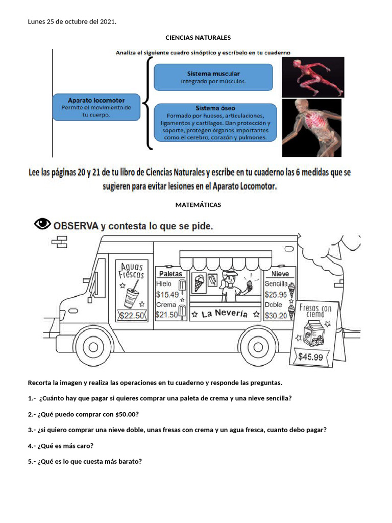 4º Del 25 de Oct Al 5 de Nov | PDF