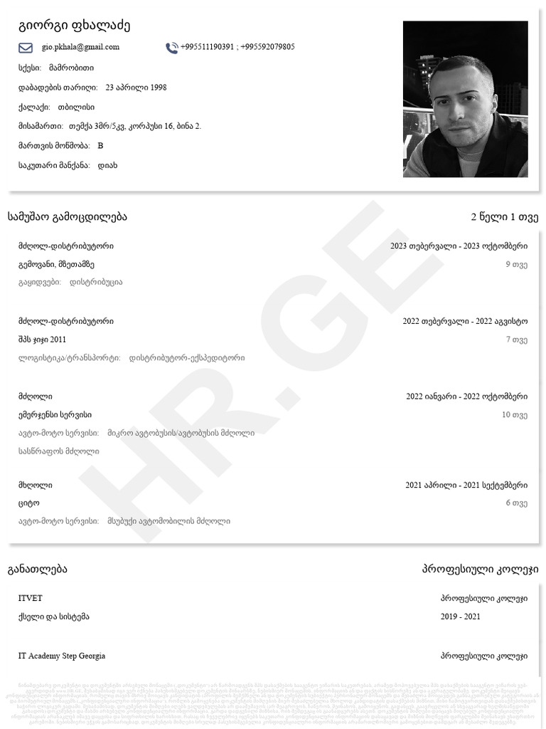 CV-Giorgi Pkhaladze 2 | PDF