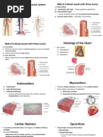 XenoSure - Brochure - M0236 Rev. T-1 | PDF | Surgical Suture | Heart