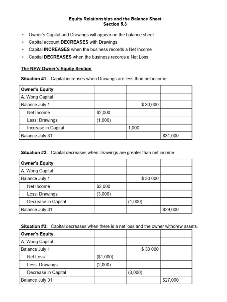 Hamza Qamar - 5.3 Equity and Balance Sheet - Note | PDF