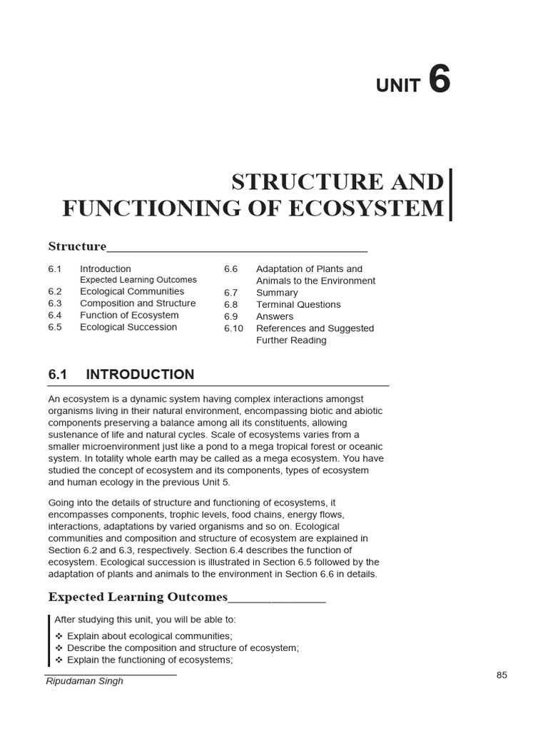 Unit-6 | PDF | Food Web | Ecosystem