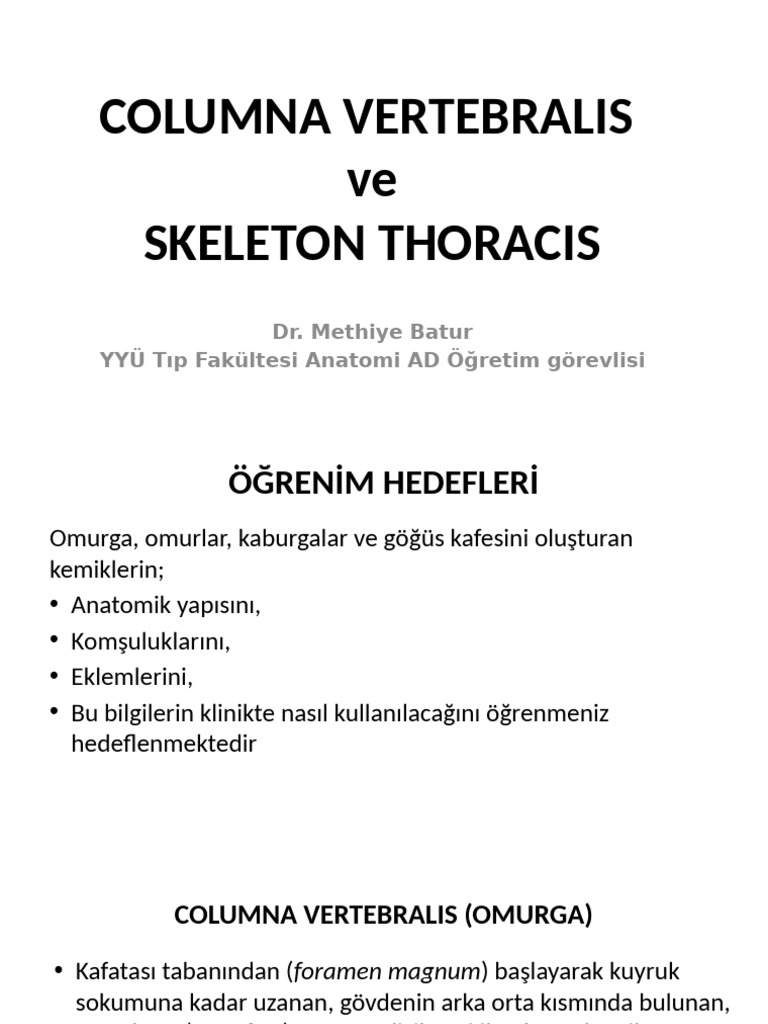 Columna Vertebralis Jskeleton Thoracis | PDF