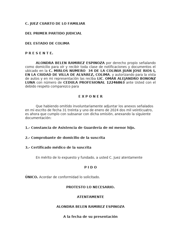 Promocion Anexar Docmentos | PDF