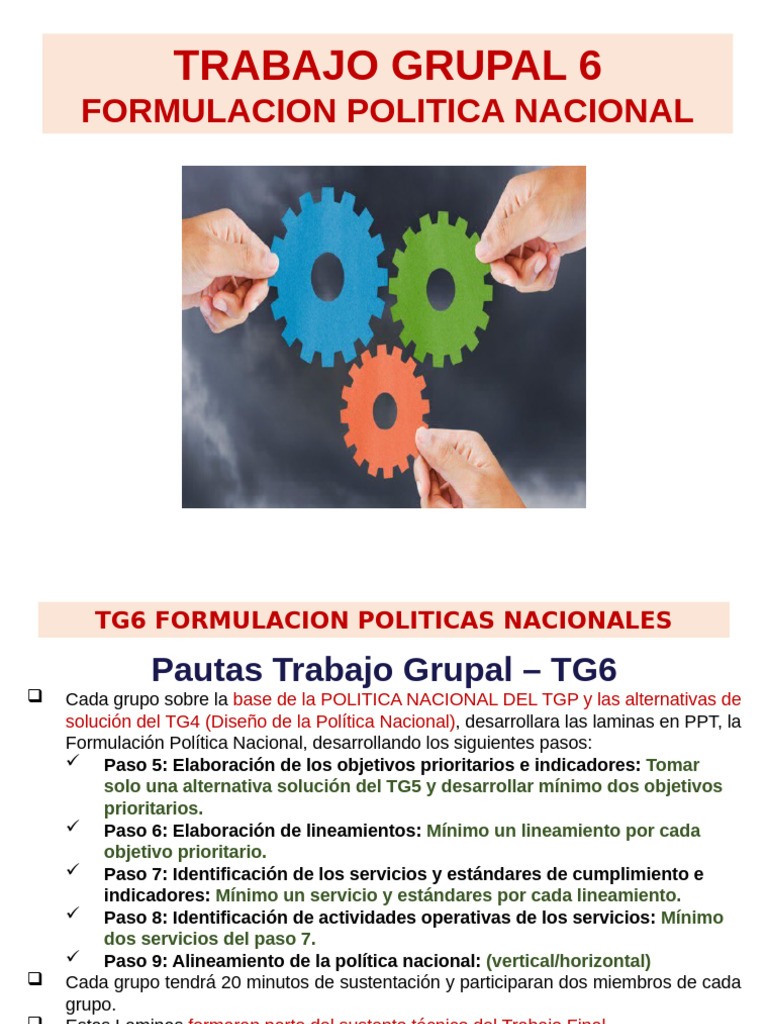 1S9 TG6 Formulacion PPG | PDF