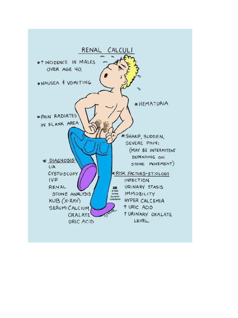 Renal Calculi | PDF