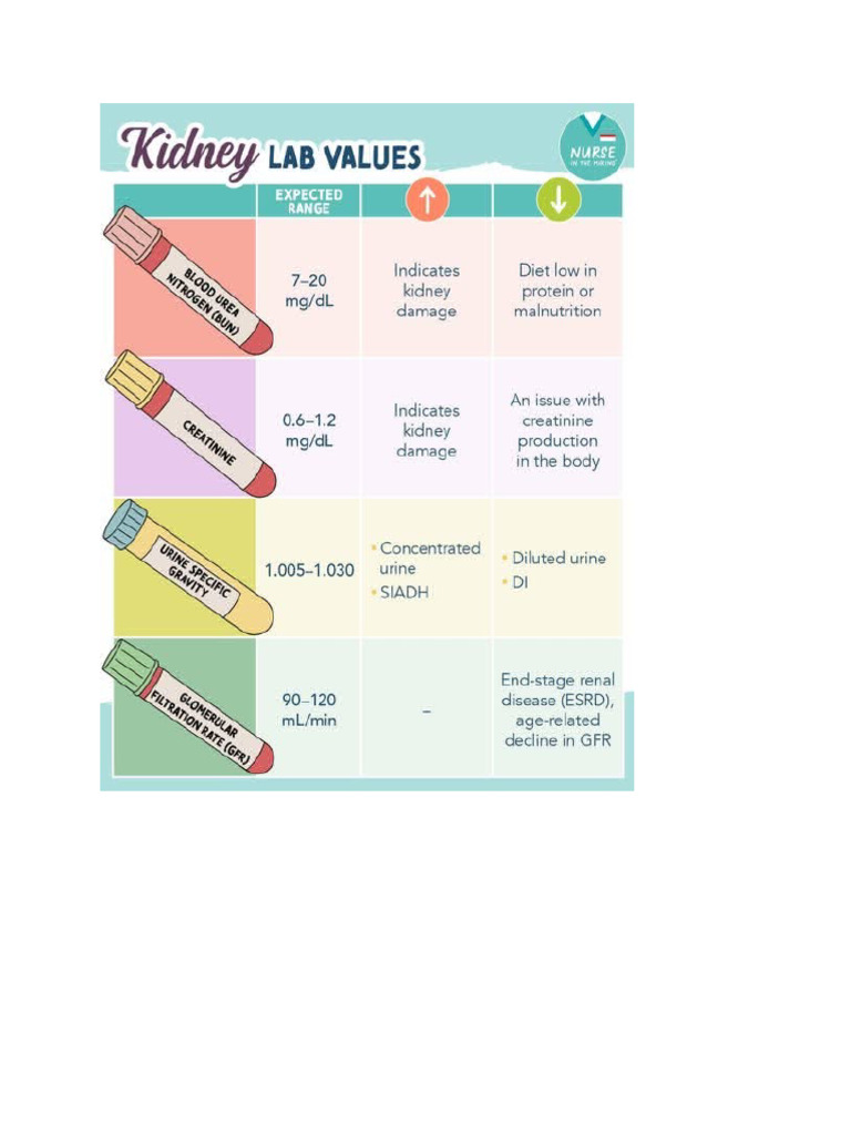 Kidney Labs | PDF