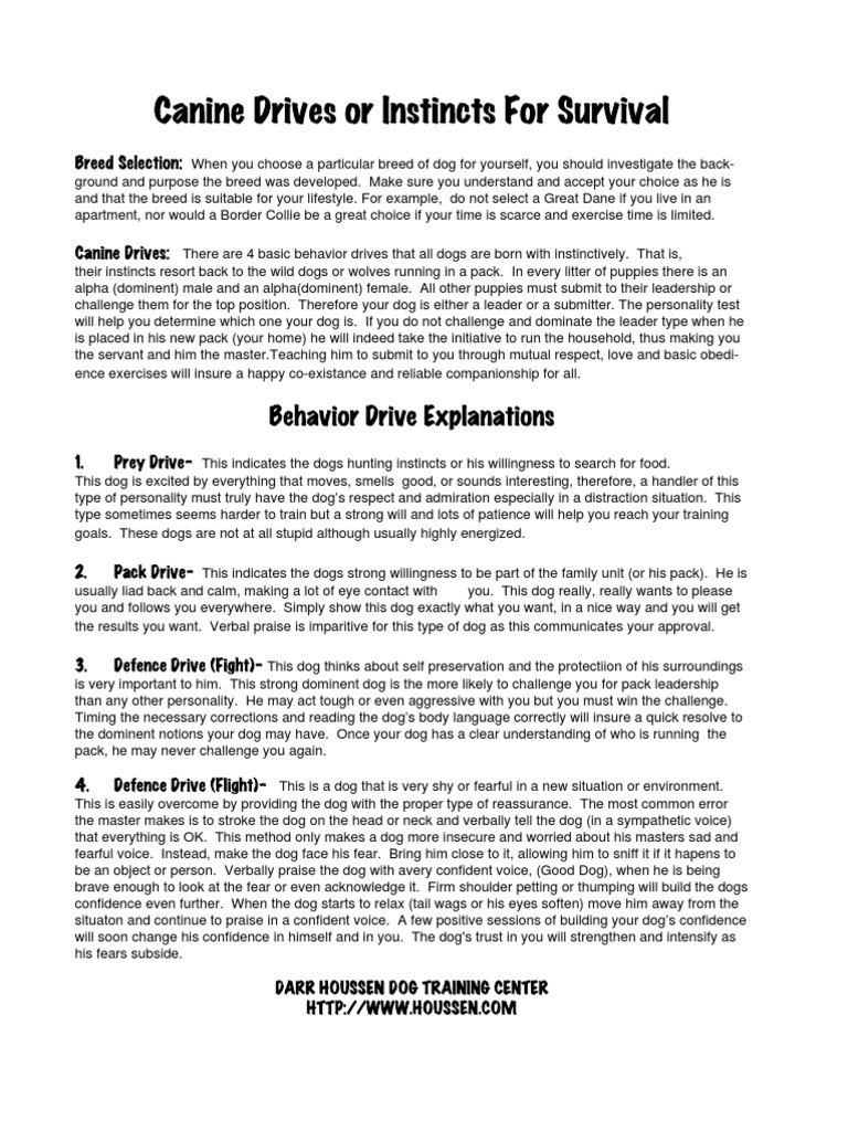 Understanding Dog Behavior Drives | PDF | Pack (Canine) | Obedience ...