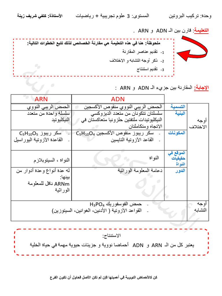 المقارنة بين Adn . الاستاذة كتفي شريف Arn | PDF